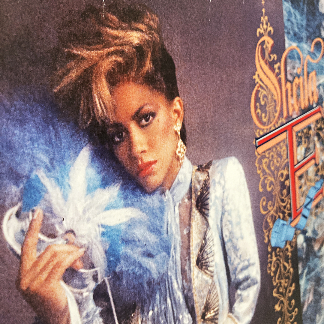 302: Dear Michaelangelo - 500 Prince Songs